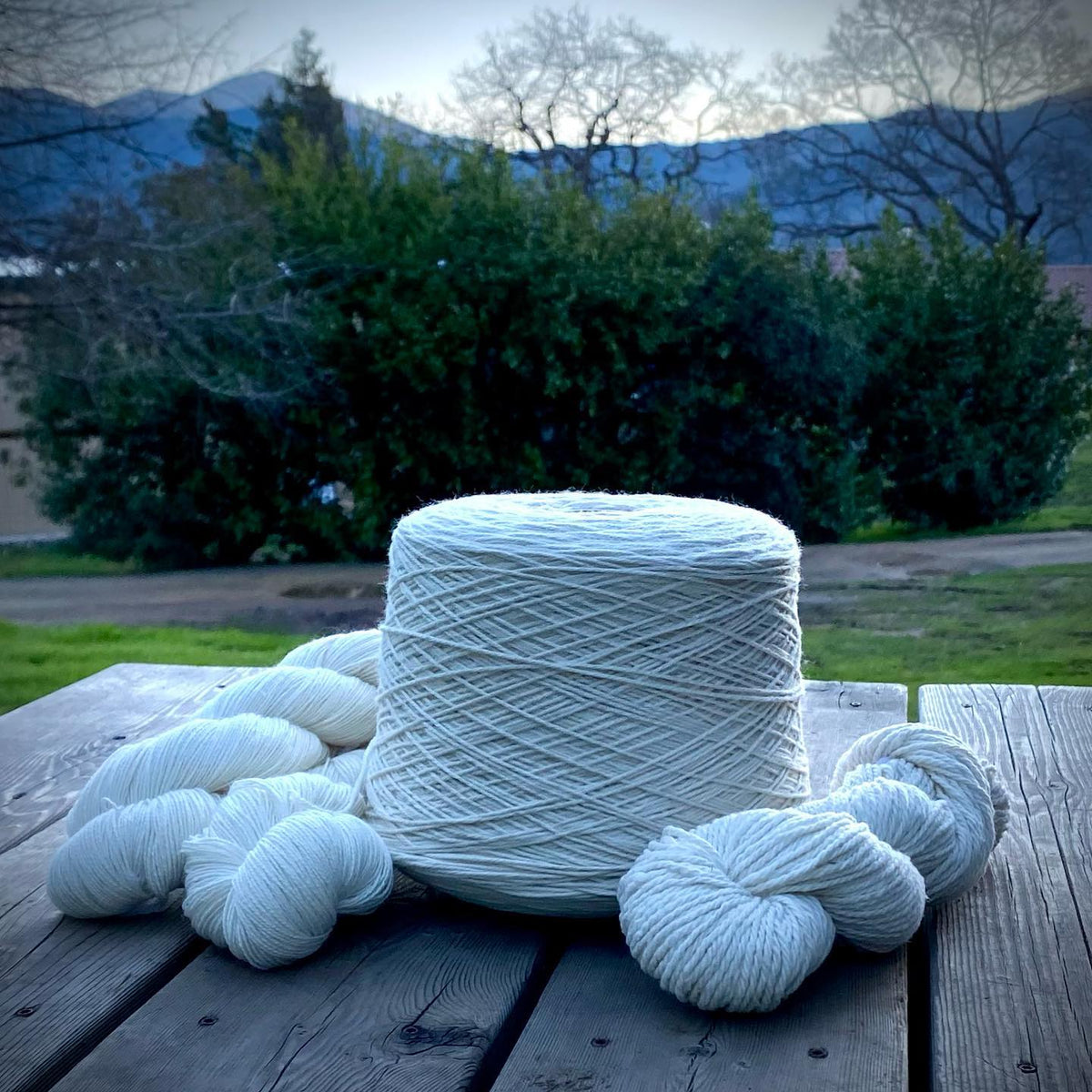 UNDYED -- Laurel Sport – Mosaic Moon